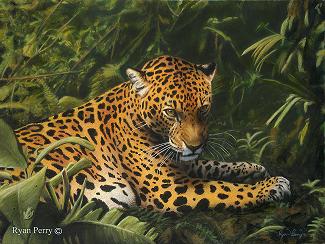 Ryan Perry - Wildlife Artist