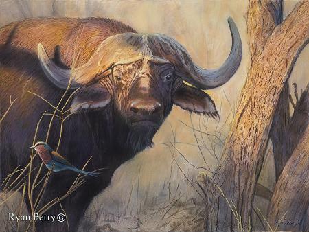 Ryan Perry - Wildlife Artist
